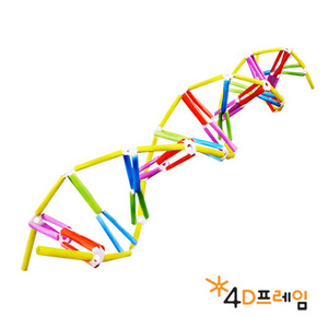 [4D프레임] DNA-3::창의력 수학 조이매스